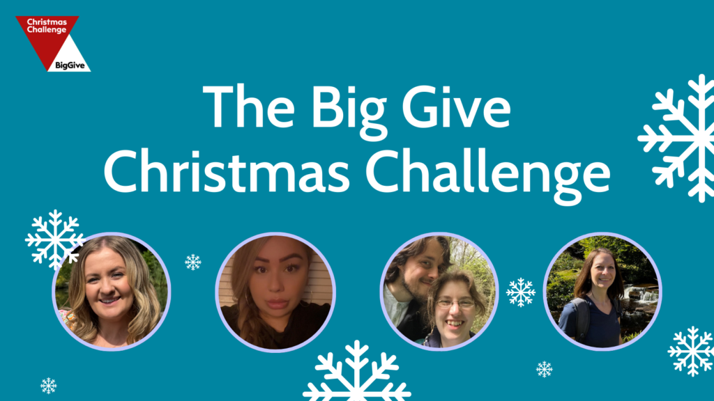 The Big Give Christmas Challenge: make twice the difference to those ...